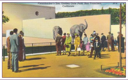 Postcard Corner – San Francisco Zoo | PENPEX & Sequoia Stamp Club